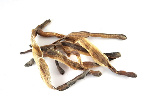 Earthworm Jerky – Bizarre Food Blog